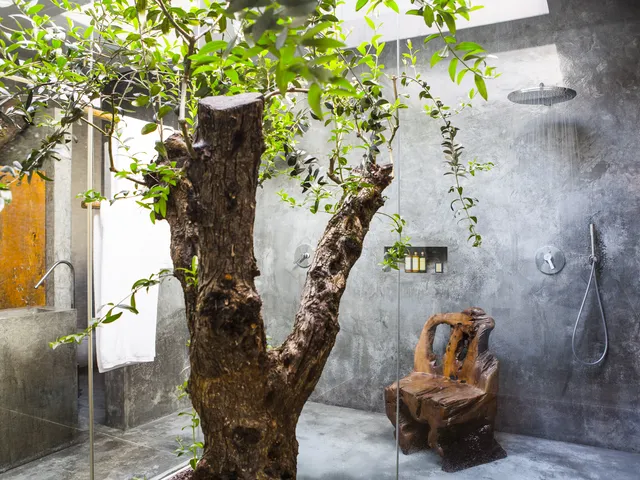 Tree Rooms - Areias do Seixo Tree Rooms